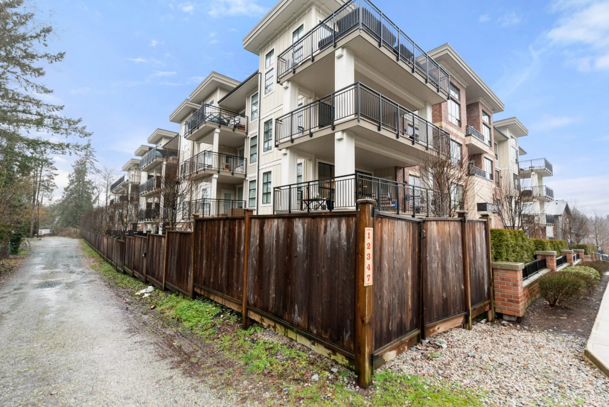 Beautiful Falcon House | Eximus